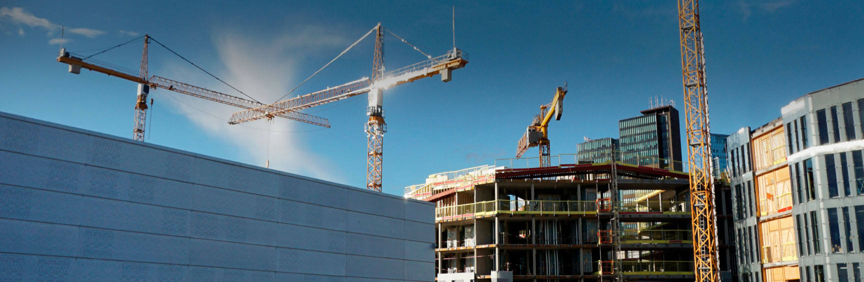 Development - RANDLAND